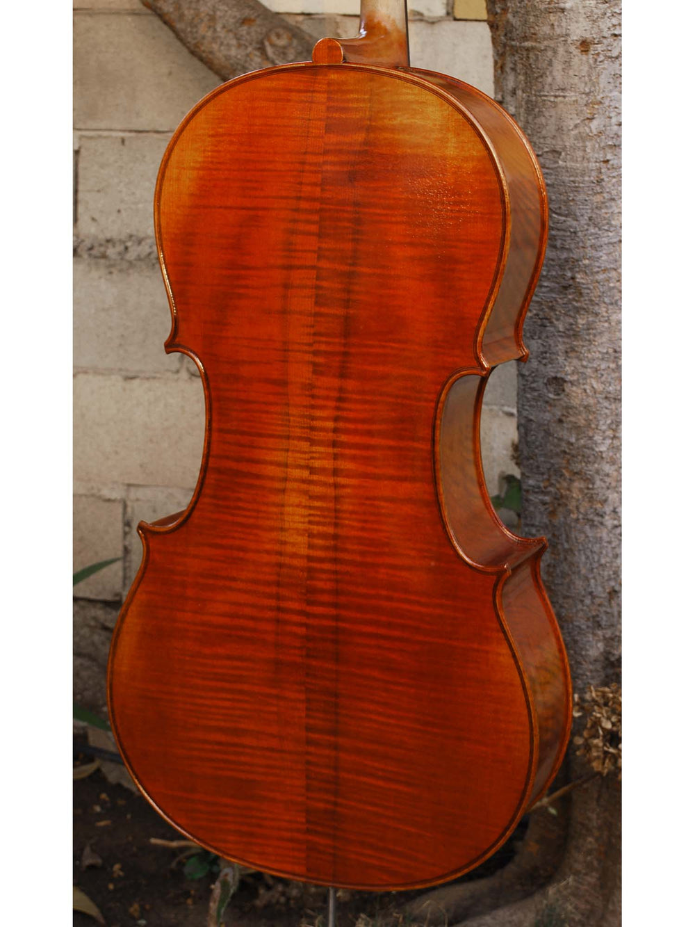 New and Used Cellos - Linda West Cellos