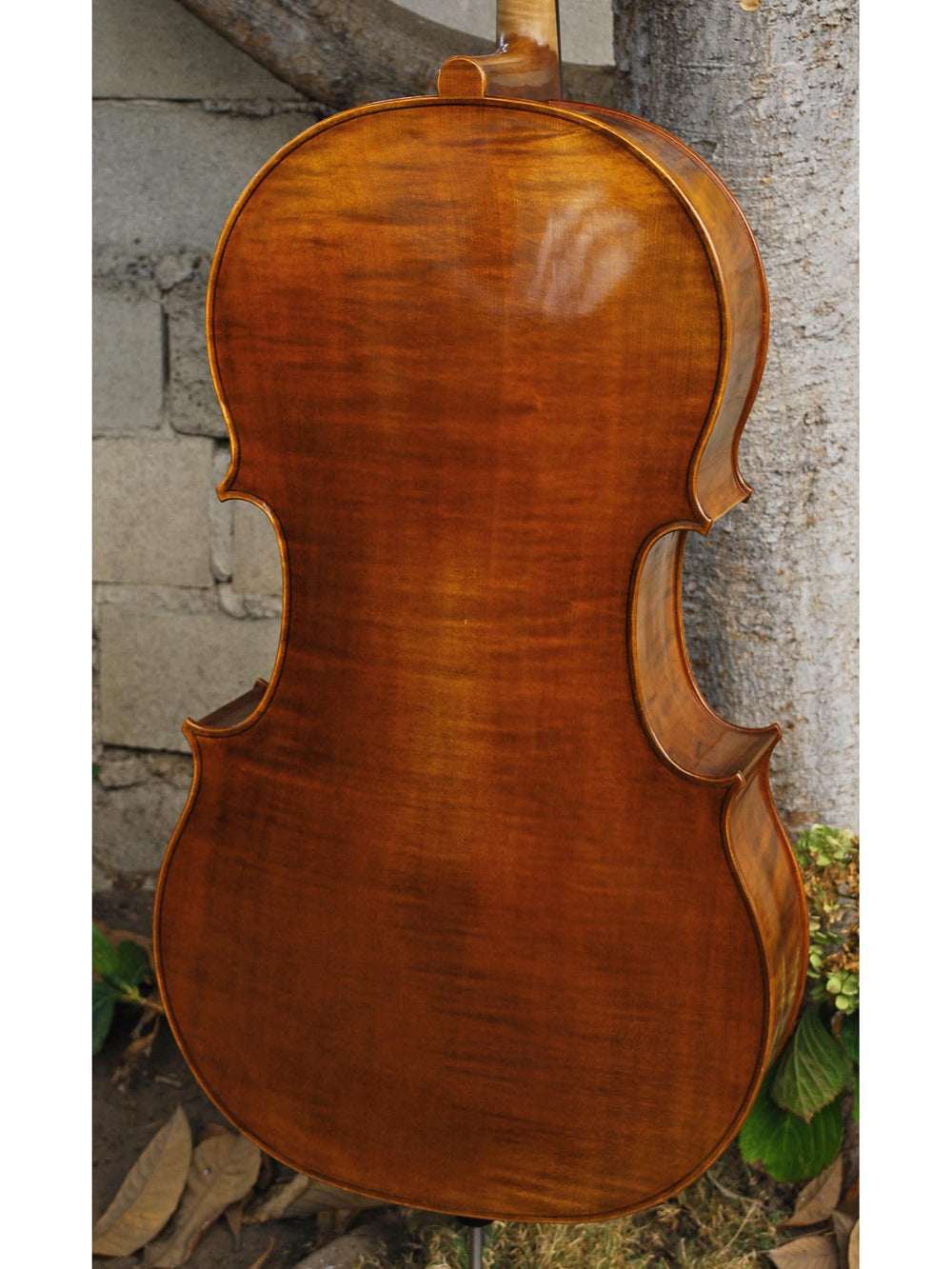 New and Used Cellos - Linda West Cellos