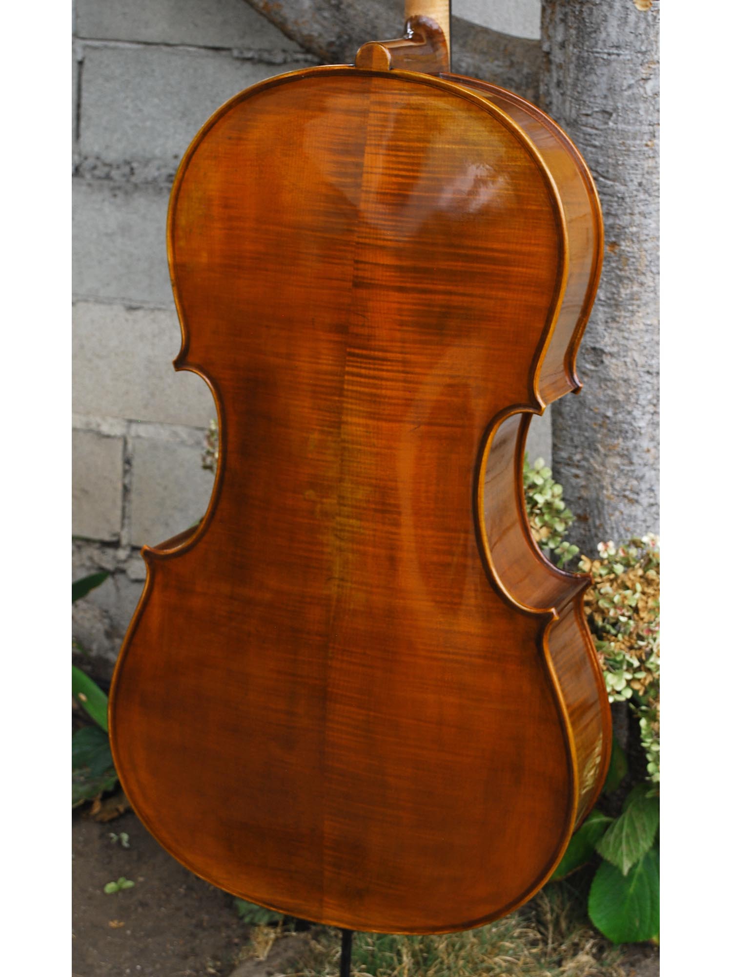 New and Used Cellos - Linda West Cellos