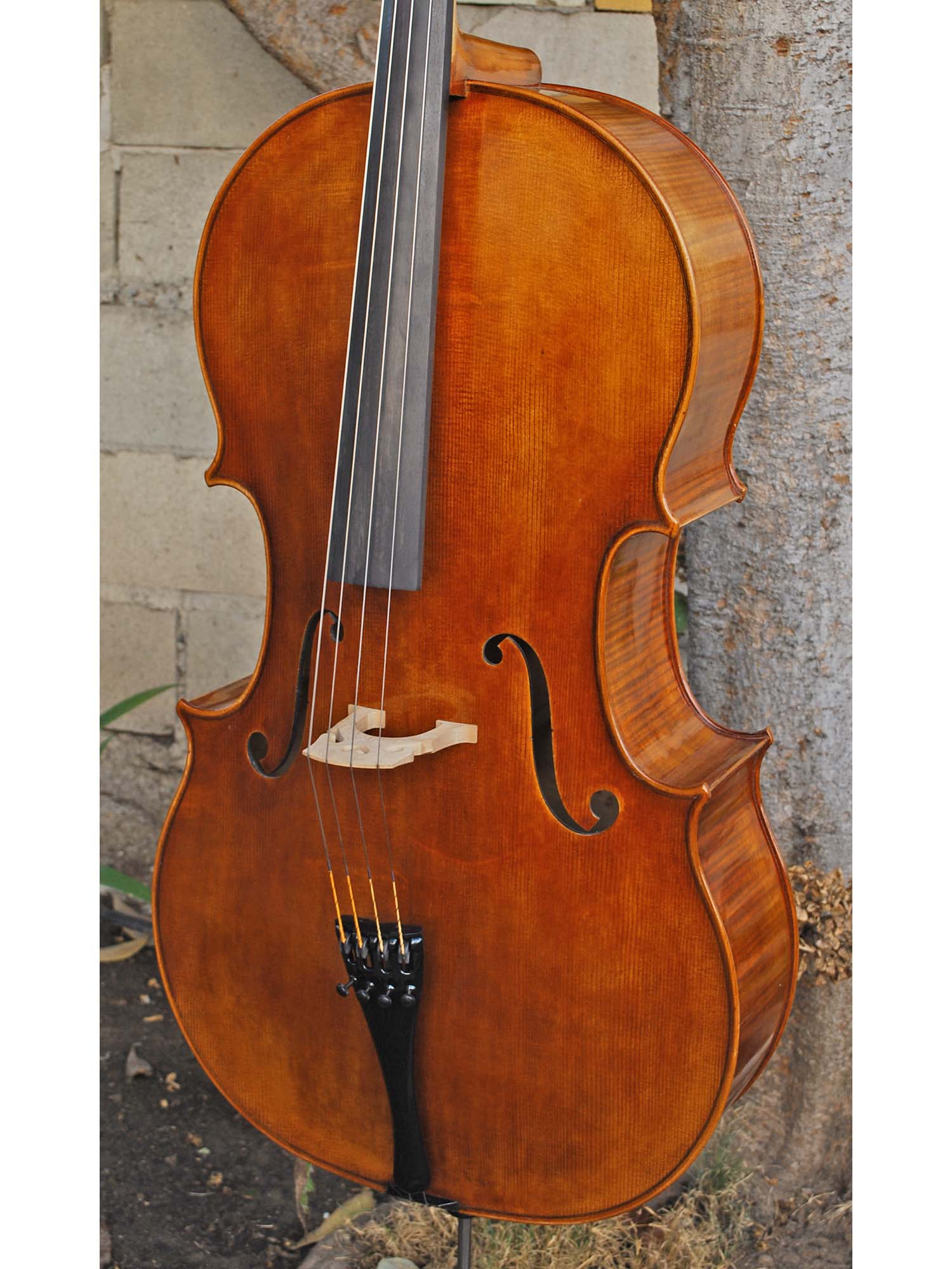 New and Used Cellos Tagged "4/4 Size" - Linda West Cellos