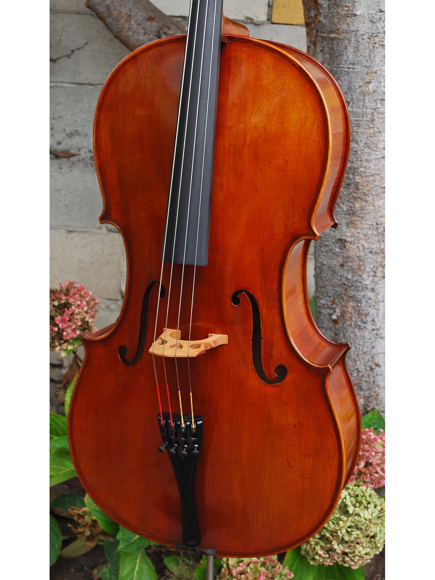 New and Used Cellos Tagged "7/8 Size" - Linda West Cellos