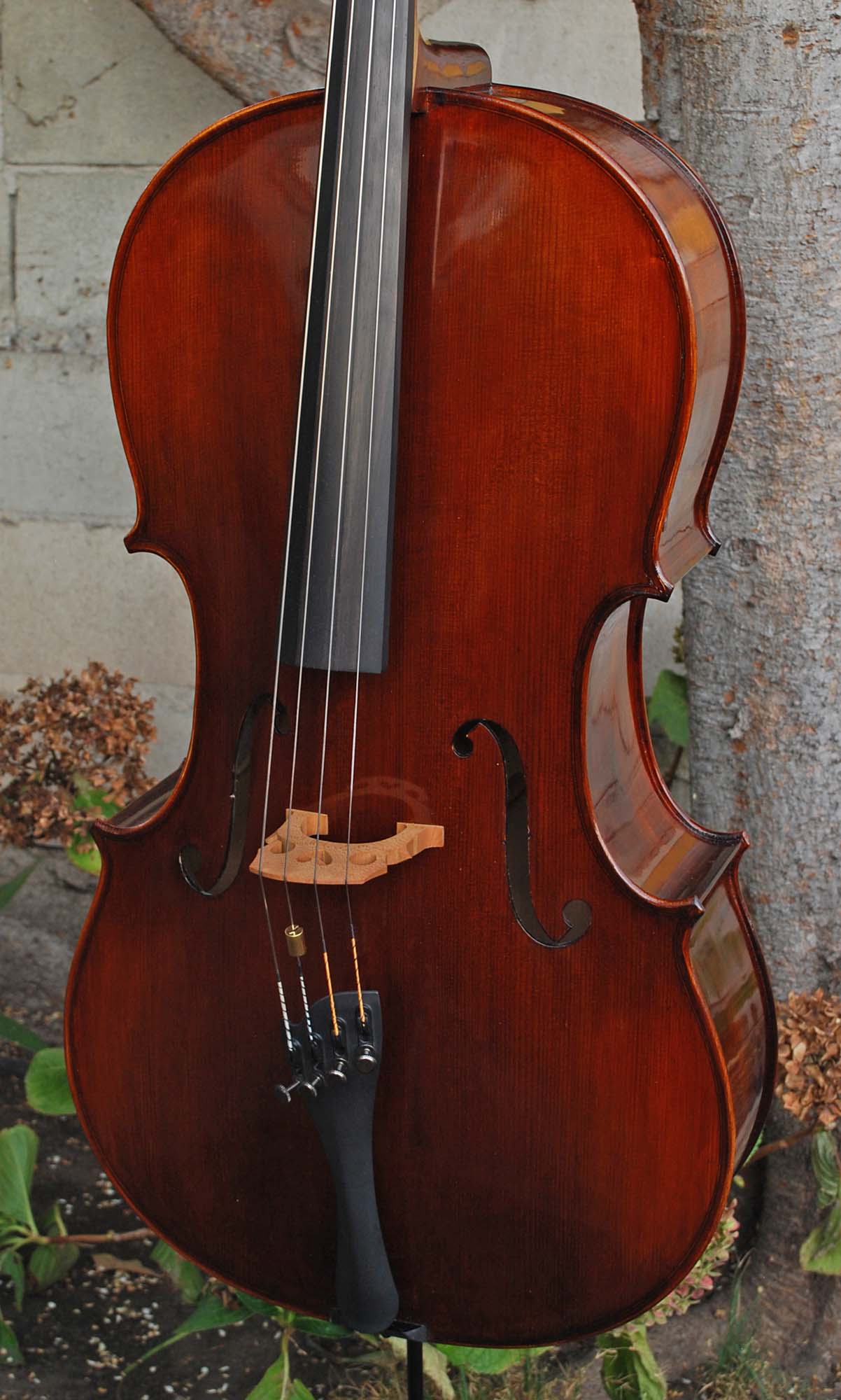 New and Used Cellos Tagged "7/8 Size" - Linda West Cellos