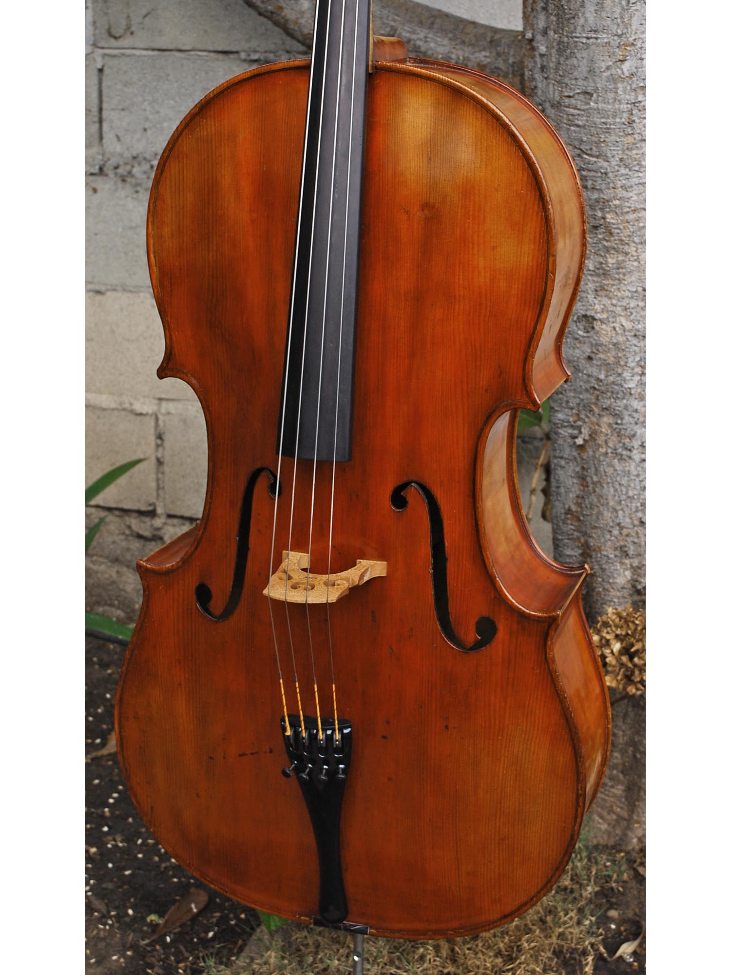 New and Used Cellos - Linda West Cellos