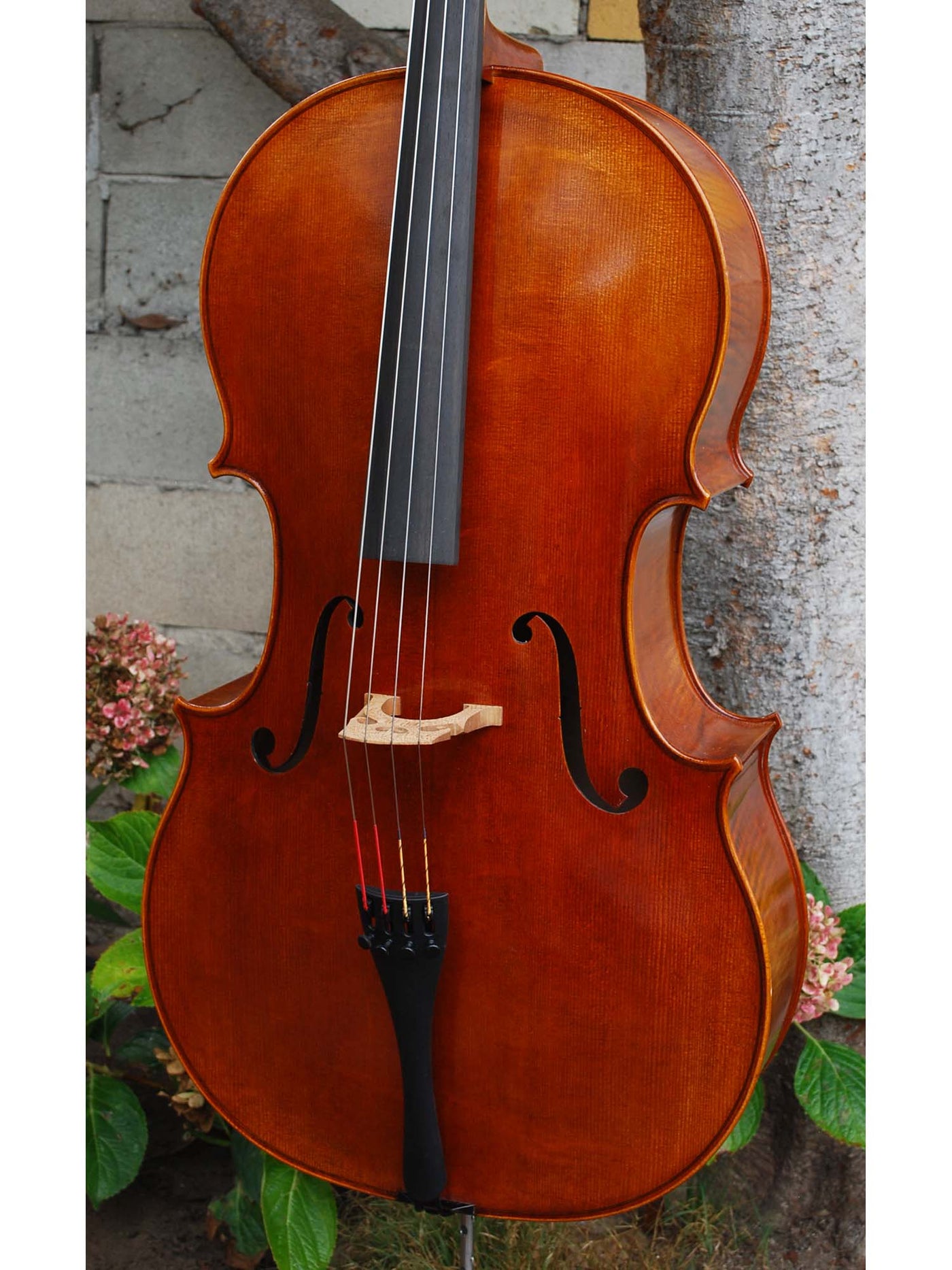 New and Used Cellos - Linda West Cellos