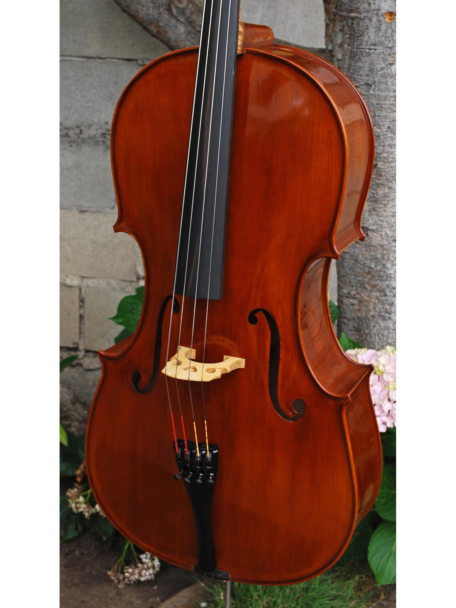 New and Used Cellos - Linda West Cellos