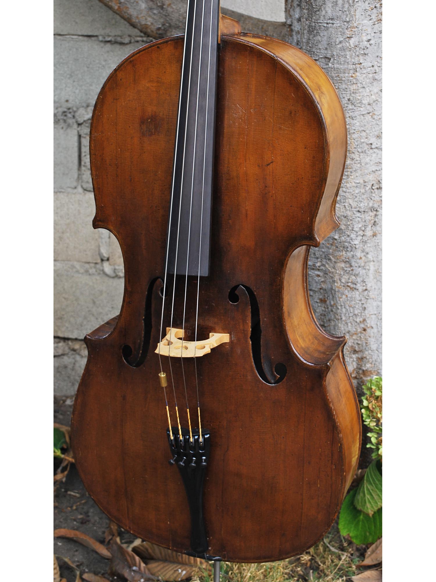 New and Used Cellos - Linda West Cellos
