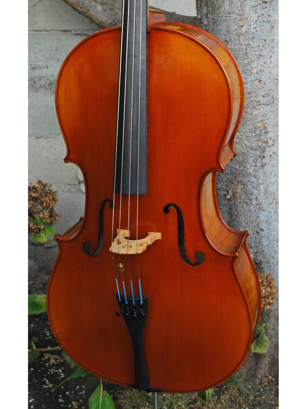 New and Used Cellos - Linda West Cellos