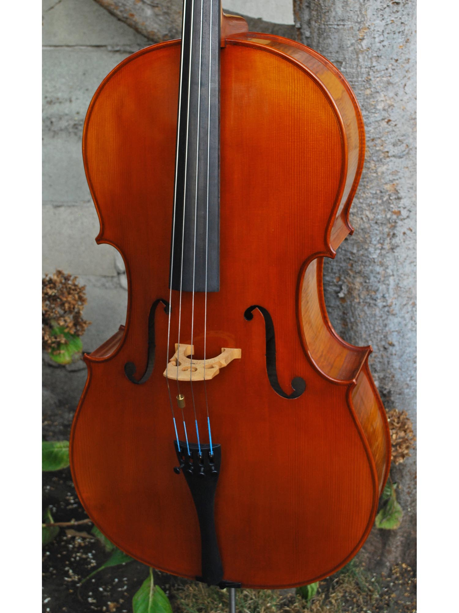 New and Used Cellos Tagged "7/8 Size" - Linda West Cellos