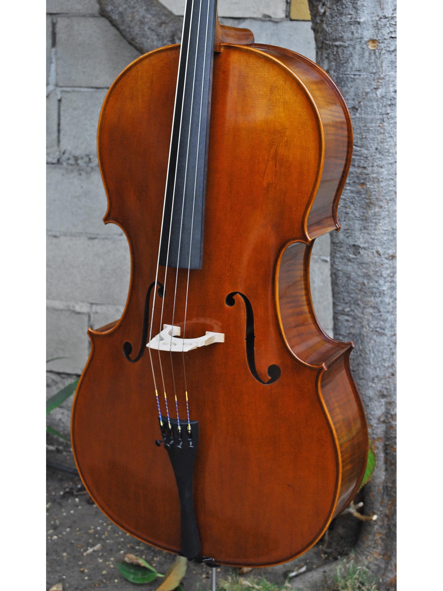New and Used Cellos - Linda West Cellos