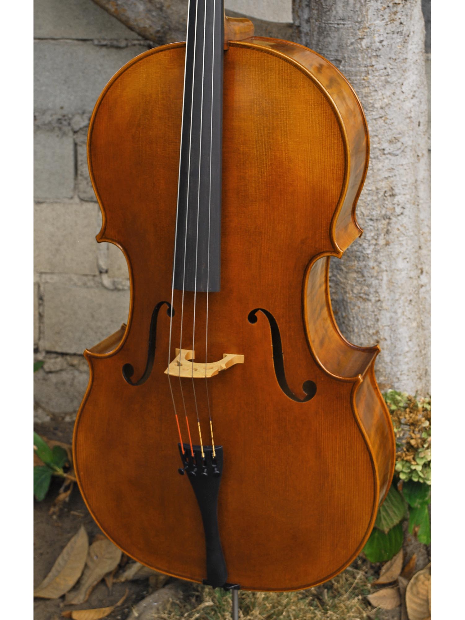 New and Used Cellos - Linda West Cellos