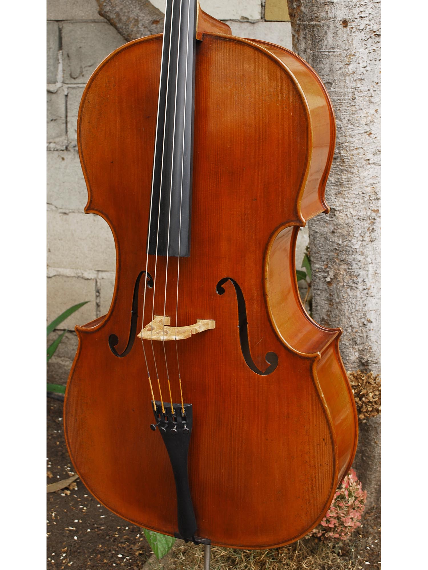 New and Used Cellos - Linda West Cellos