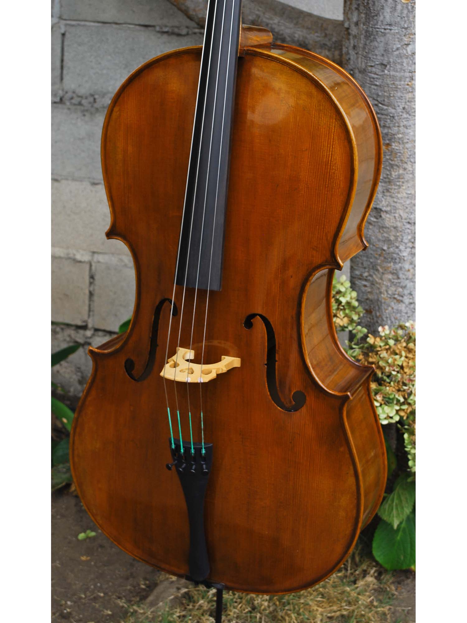 New and Used Cellos - Linda West Cellos