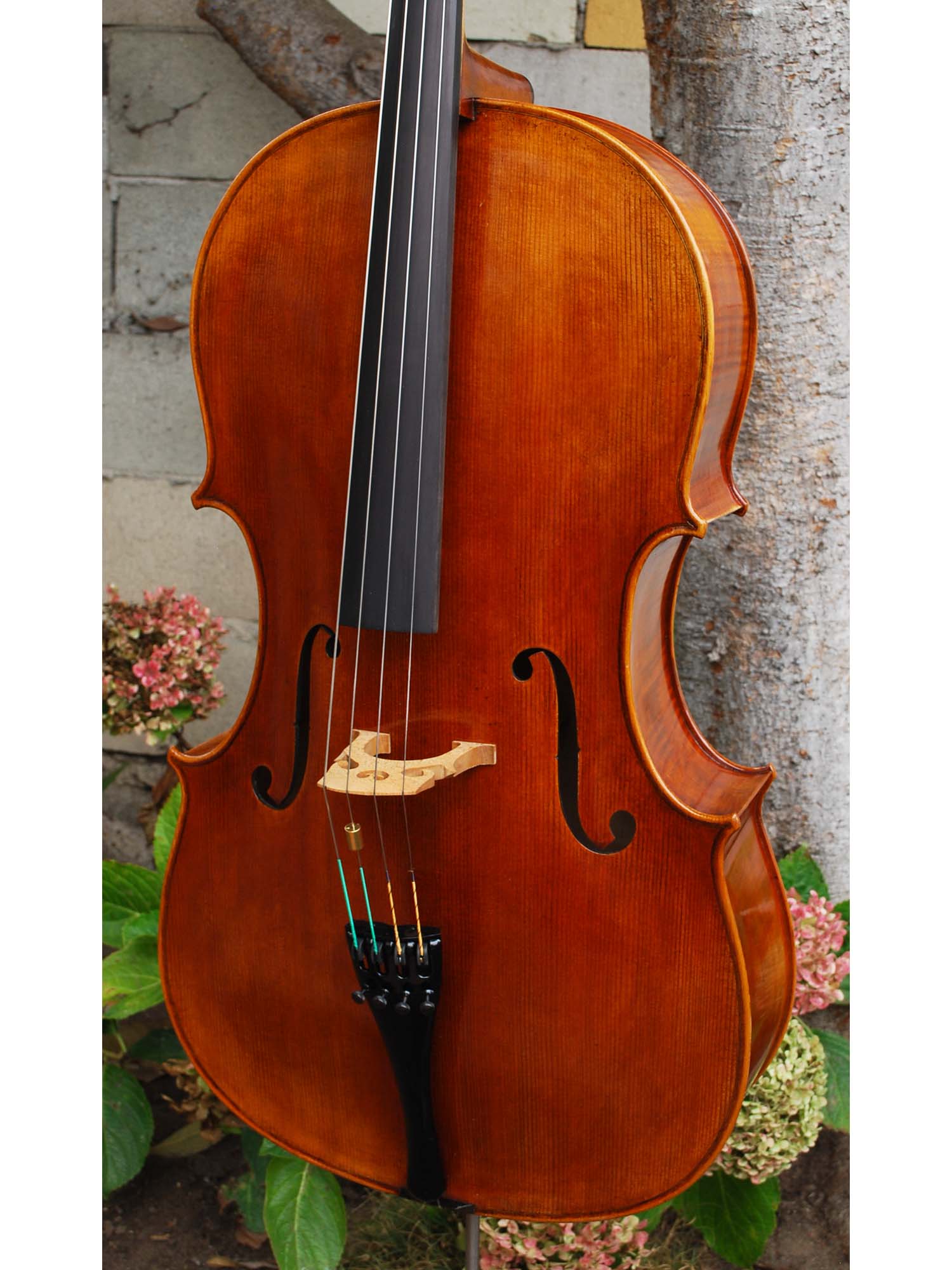 New and Used Cellos Tagged "4/4 Size" - Linda West Cellos