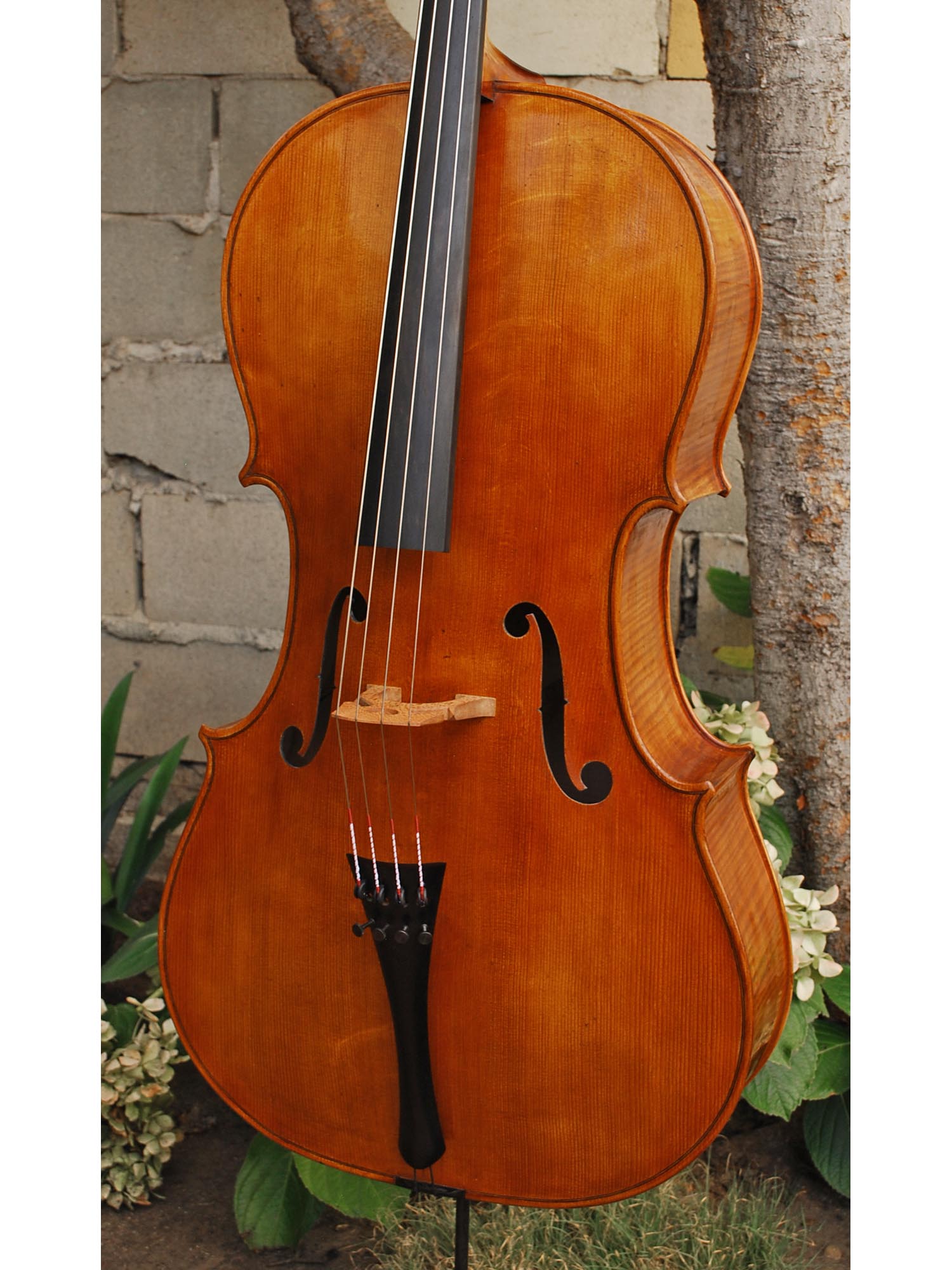 Linda West Cellos