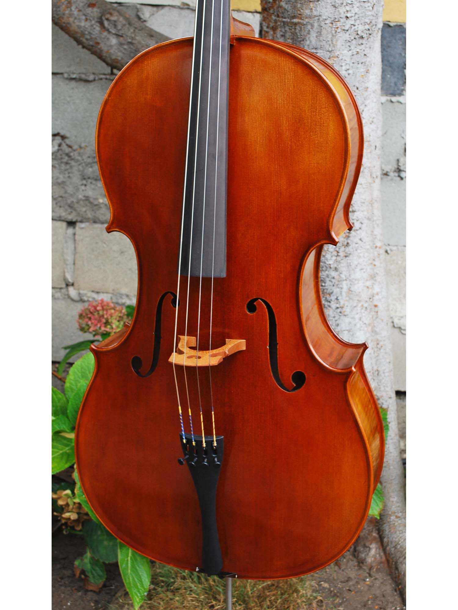 New and Used Cellos - Linda West Cellos