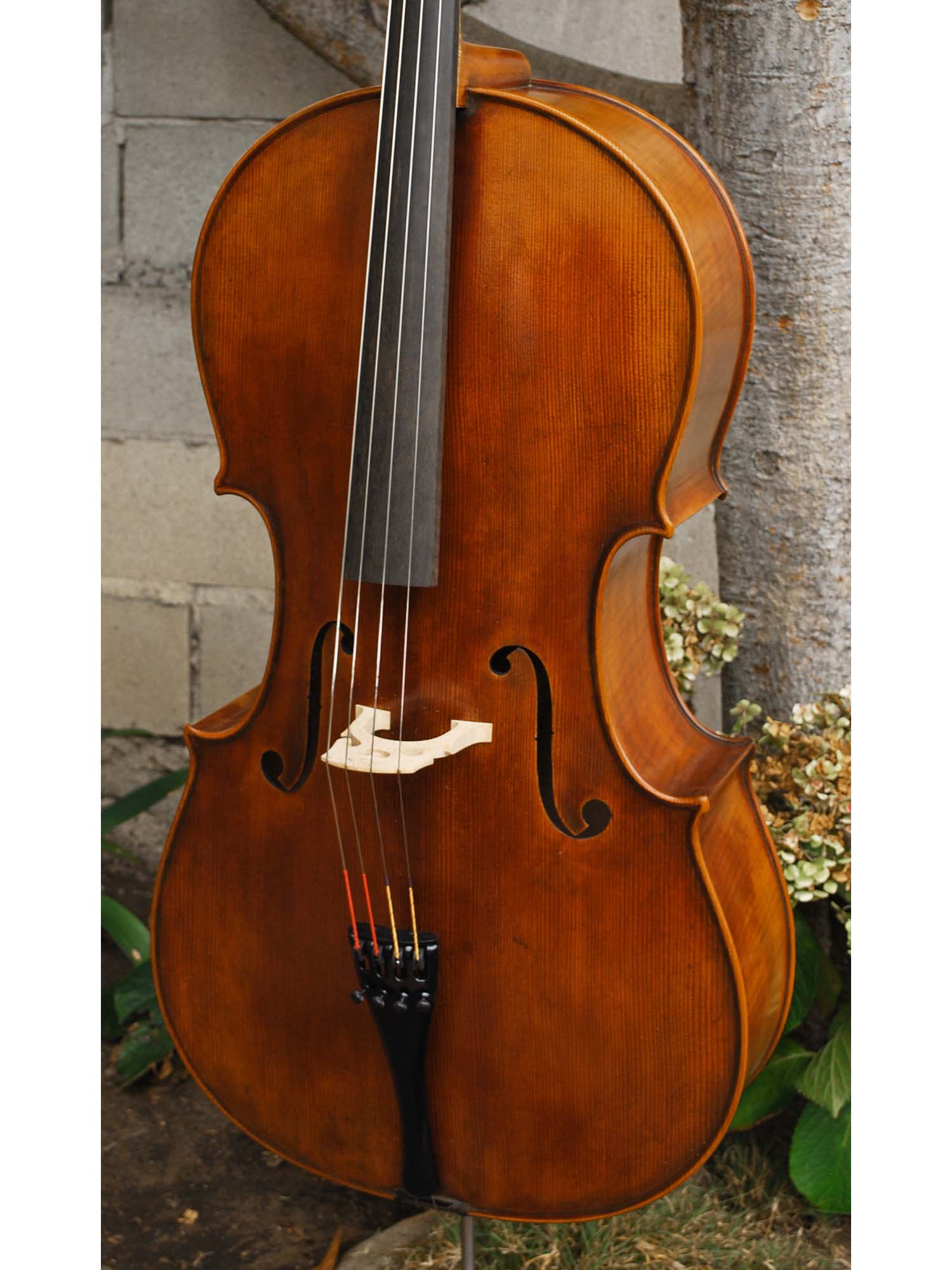 New and Used Cellos - Linda West Cellos