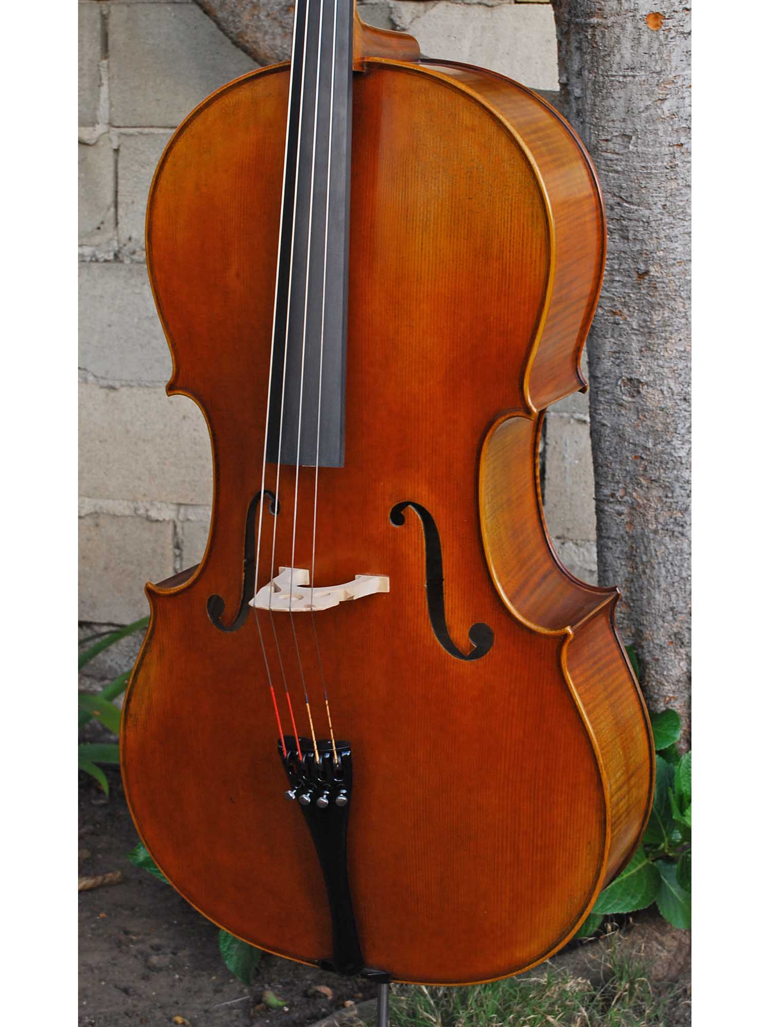 New and Used Cellos - Linda West Cellos